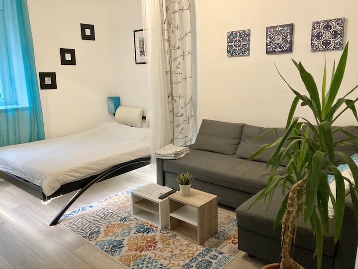 Very Comfortable And Central Apartment - Zagreb