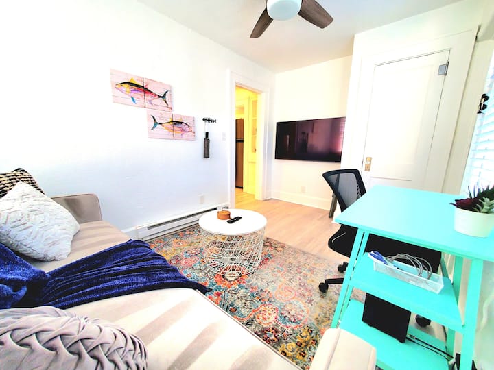 Dedicated Parking - Walkable To Dt - St. Petersburg, FL