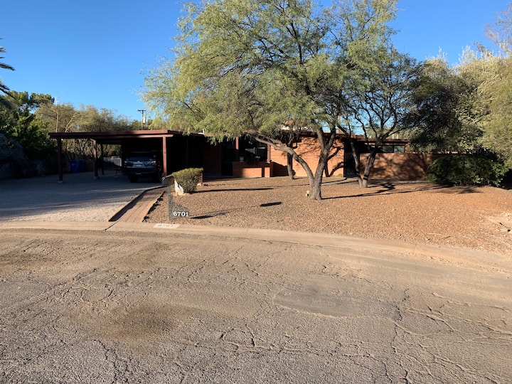 Cream Puff North East Tucson - Tucson, AZ