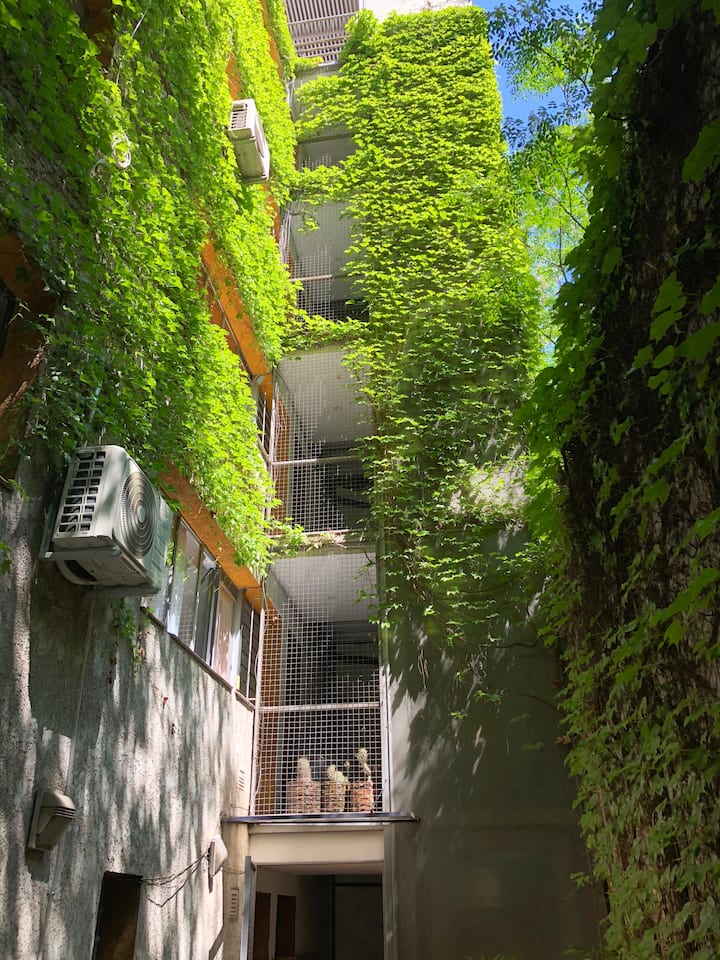 10 Estrellas En Ubicación, Canchero - Mendoza