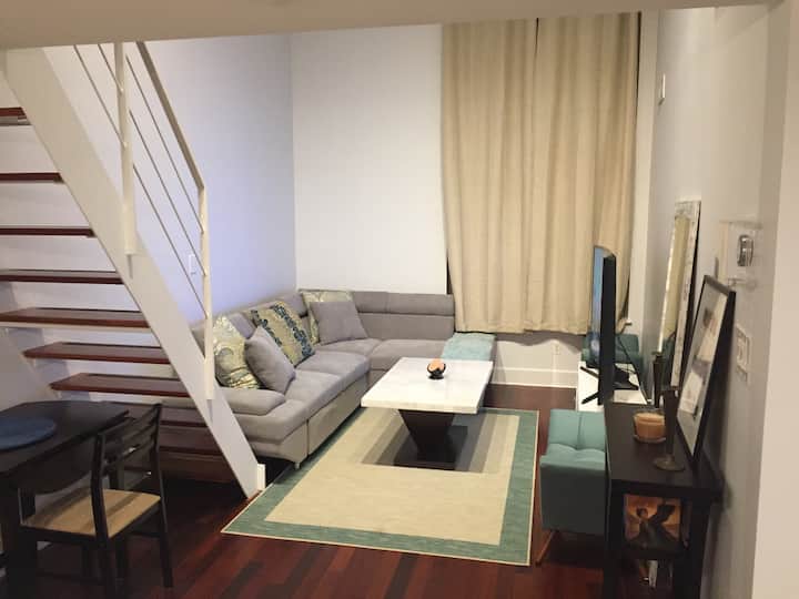 Luxury Apt, 1 Br, Stainless Steel Appliances - Brooklyn, NY