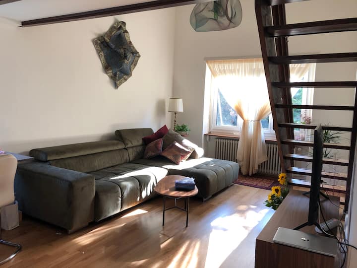 Private Room Near The City Centre Of Basel - Basel