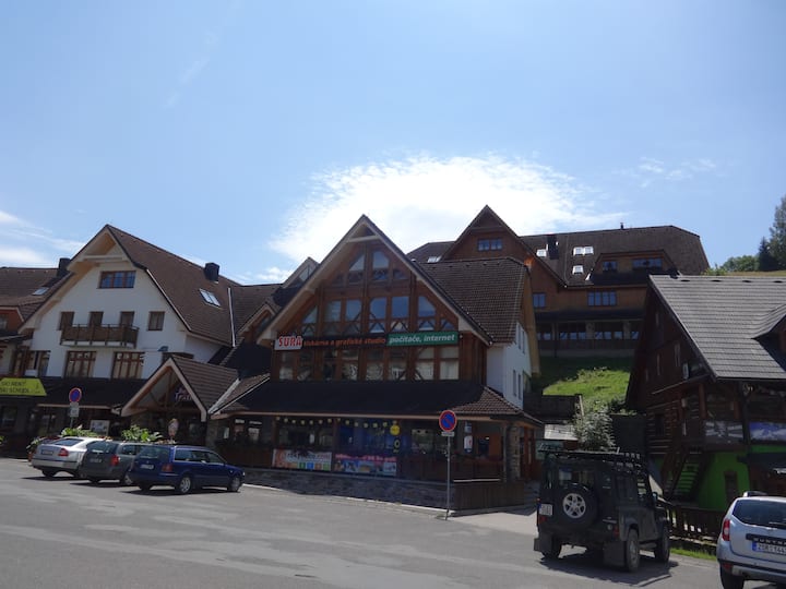 Apartmán 466 - Harrachov