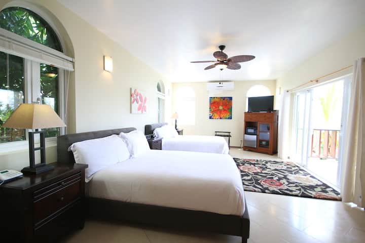 Fountain Anguilla- Poolside Studio- 2 Queen Beds! - Anguilla
