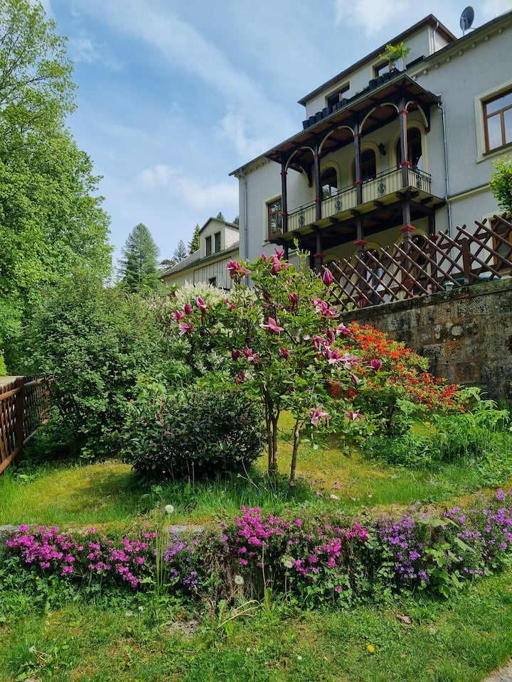 Sonnige Ferienwohnung Mit Balkon - Bad Schandau