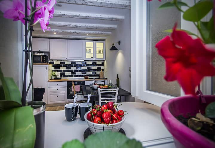 Art Apartment Zen Seagull - Split