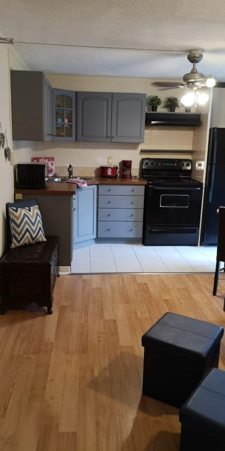 Fabulous 1 Bedroom - Hamilton