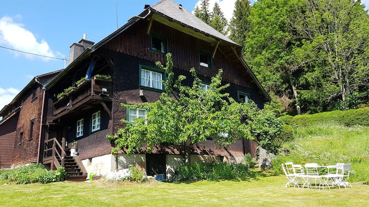 Schwarzwaldnest - Hinterzarten