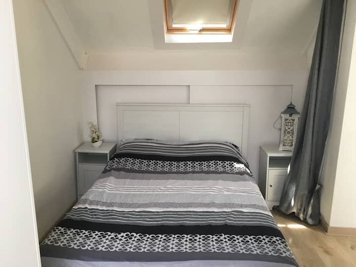 Totally Renovated Studio. - 레이덴