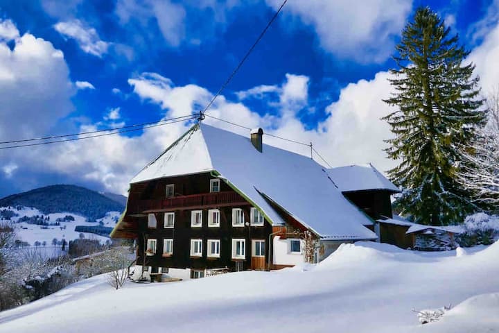 Schwarzwaldhof - Tolle Lage - Todtmoos