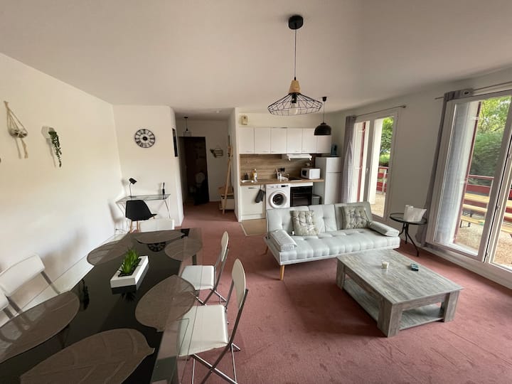 Appartement Geneve/terrasse Cern/station De Ski - Saint-Genis-Pouilly