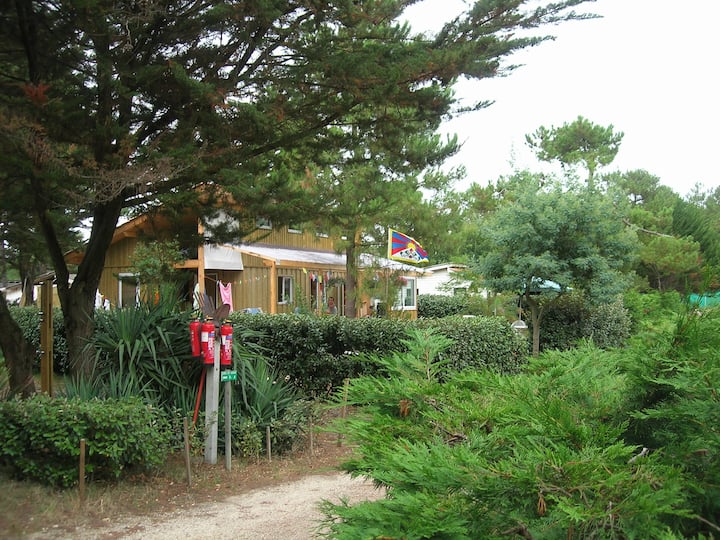Bungalow Californie 96 - Centre Naturiste Chm - Vendays-Montalivet