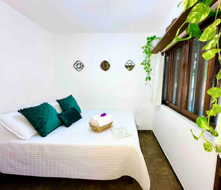 Downtown Tropical Oasis –&nbsp;5 Min Walk To The Marina - Cabo San Lucas