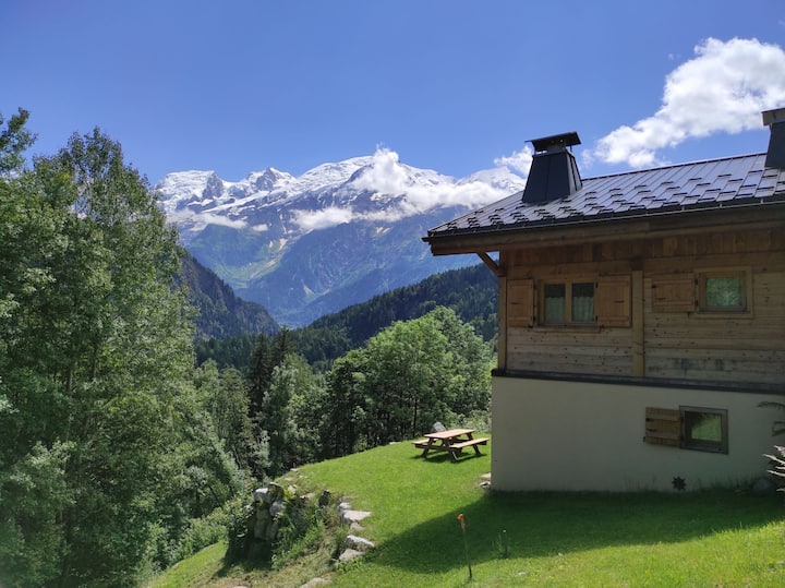 Charmant Chalet Vue Chaîne Du Mont Blanc - Passy