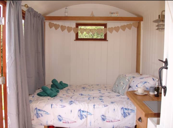 Apple Tree Shepherd Huts Honeysuckle. - Port Isaac