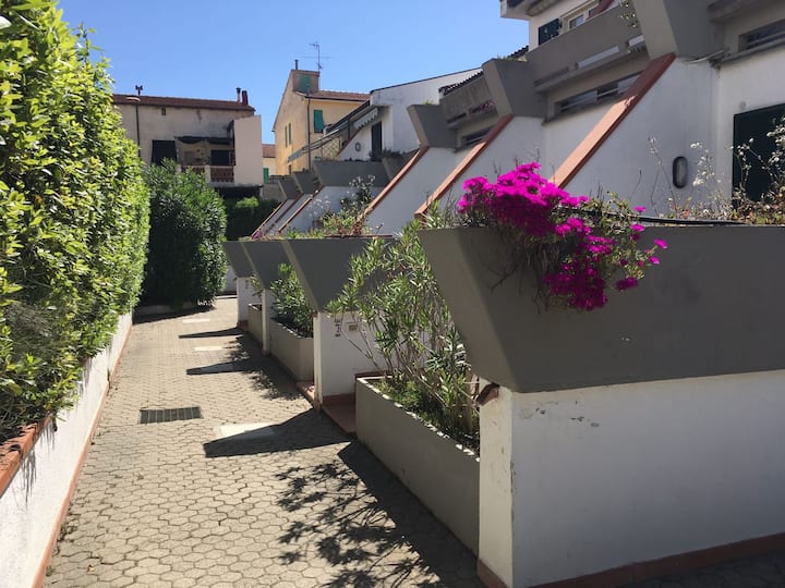 Appartamenti Solaris A Marina Di Campo, (N.1) - Marina di Campo