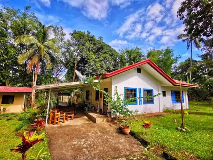 [Korean] Happy Ajumma's Bed And Breakfast | Dodo - Amadeo