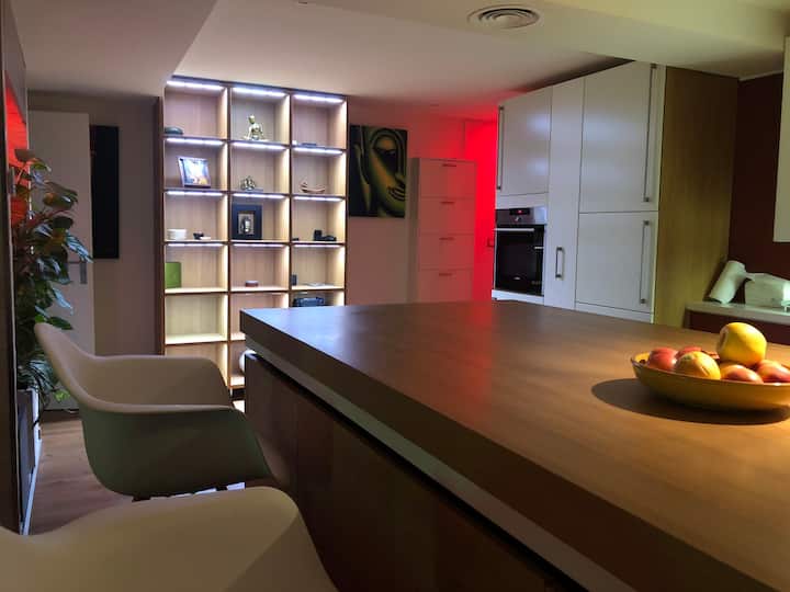 Appartement De Rêve Au Centre D’annecy (Loft 80m2) - Annecy