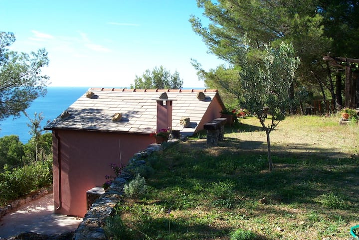 Detached Villa, Near 5 Terre, Sea View, With Park And Private Parking Space - Bonassola