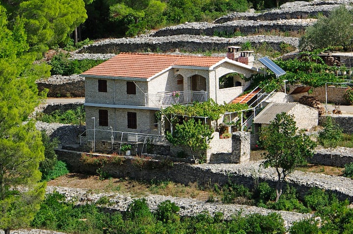 Apartment 1 ŠEparović-tankaraca - Vela Luka