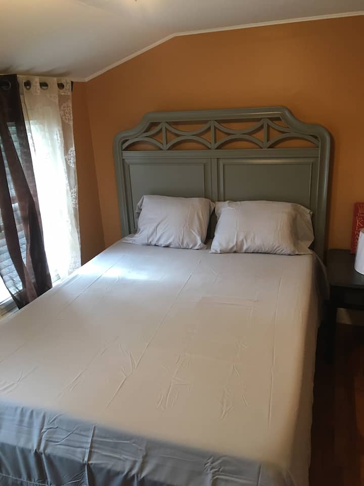 Paradise - Grafton, MA