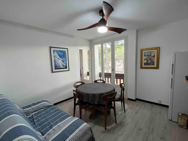 Appartement à 50 Mètres De La Plage - Argelès-sur-Mer