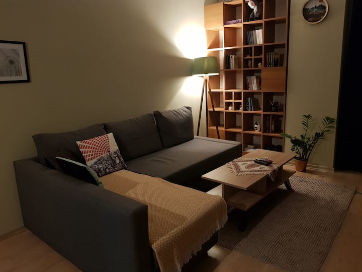 Cozy House In The Heart Of Van With Cool Decor - Van