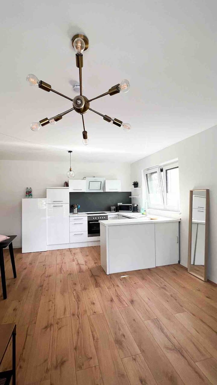 2 Zkb Apartment In Mannheim - Schwetzingen