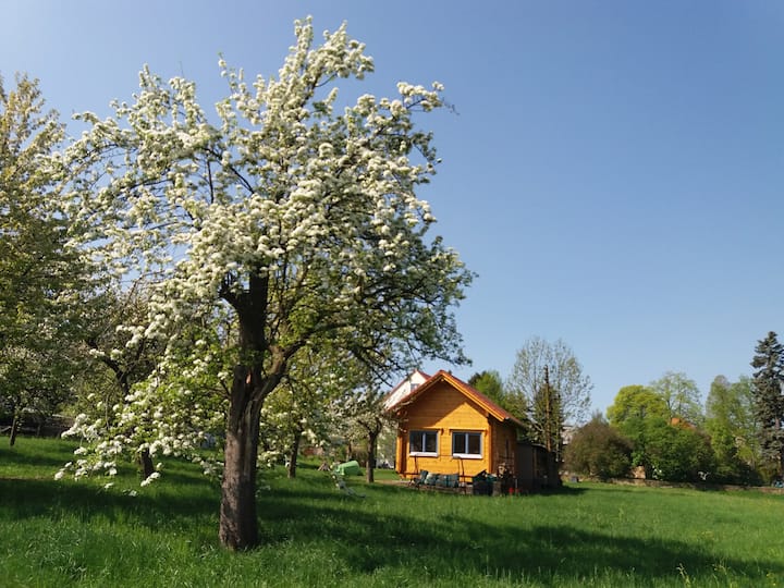 Apfelhüttchen Dresden - 