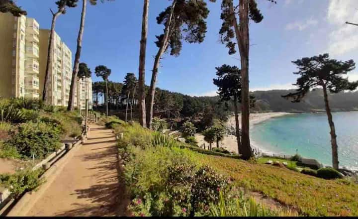 Cómodo Y Acogedor Departamento - Algarrobo