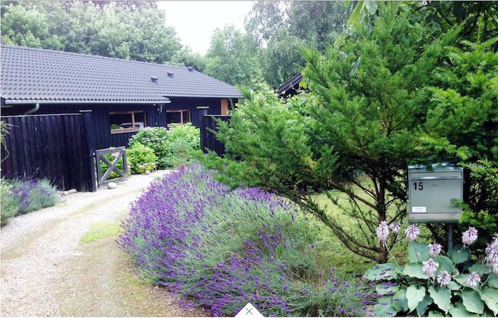 Beautiful House With Great Location - Denmark