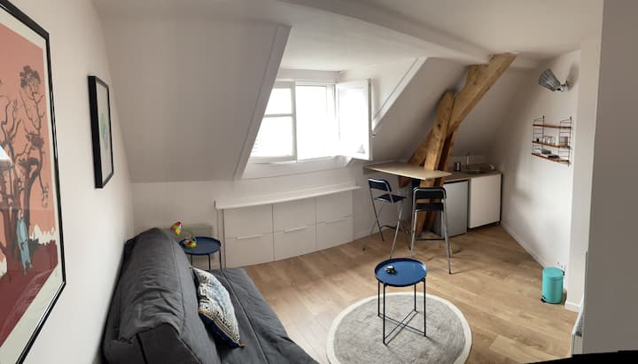 Grenoble : Chambre De Bonne - Grenoble