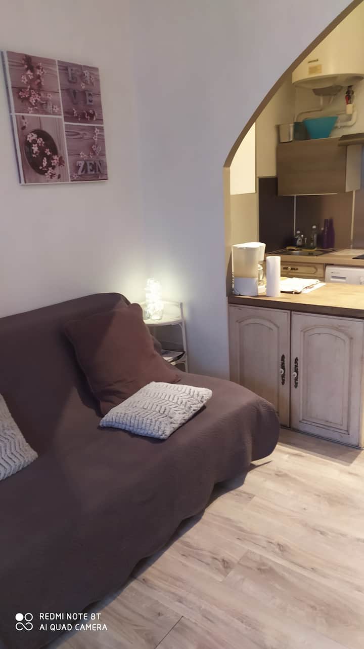 Studio Au Cœur D'argeles Gazost - Argelès-Gazost