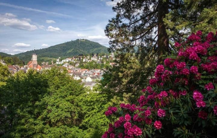 A&a Apartment Baden-baden - Baden-Baden