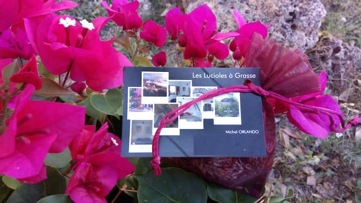 Les Lucioles - Studio 4 Pers - Vue Sur Grasse - Grasse
