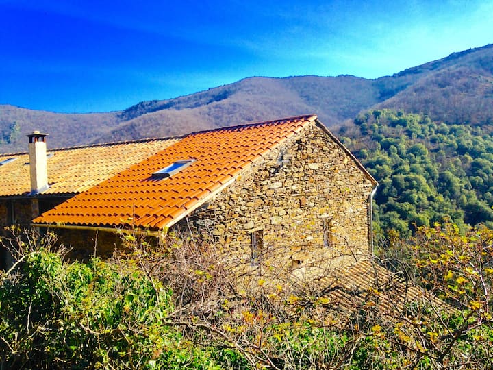 Gîte Los Pelos-le Cantóu - Valleraugue