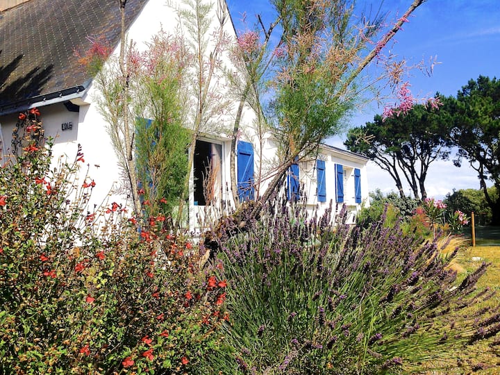 Villa Avec Jardin à 250 M De L'océan - Batz-sur-Mer
