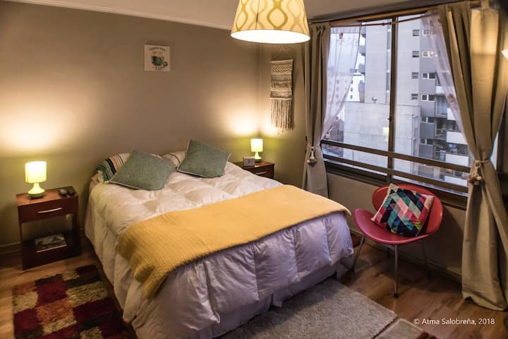 Departamento Ideal En El Centro De Santiago - Santiago