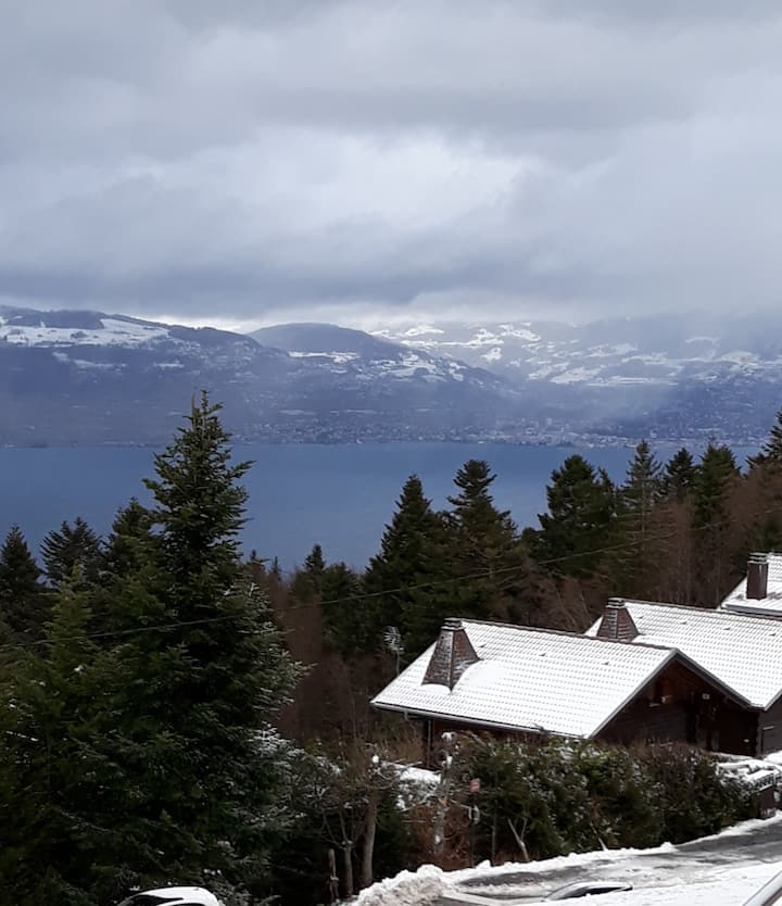 Studio Du Schuss En Surplomb Lac Leman - Évian-les-Bains