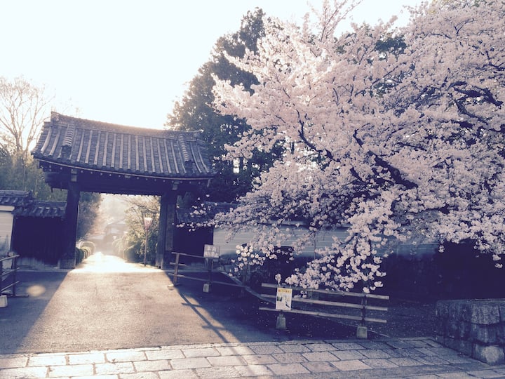 Tgk205 4min To Subway, 25min From Kyoto Sta. - Uji