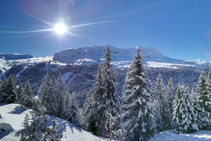 Studio à Flaine Forêt, Avec Chambre,2 à 4 Pers. - Flaine