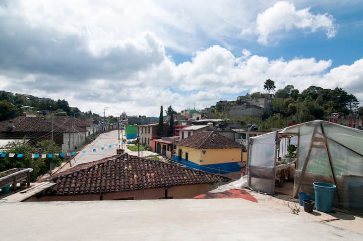 The Urban Garden - Mexico