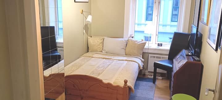 Comfy Olive Green Room- Share Kitchen/bathroom. - Oslo
