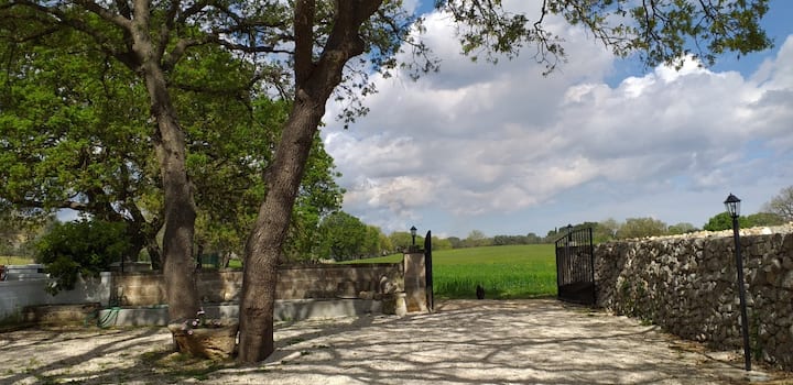 Masseria "Tenuta Deserto" : Casa "I Girasoli" - San Vito dei Normanni