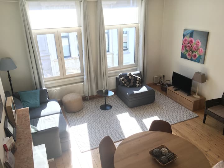 Charming Apartment In Antwerp Centre - Anvers