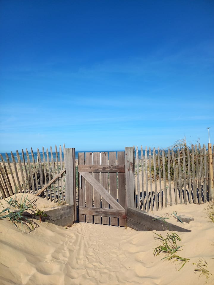 Ambiance Océanique - Lacanau Océan