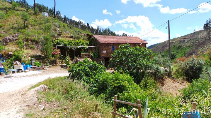 Camping With Your Own Tent On Rural Campsite - Castelo