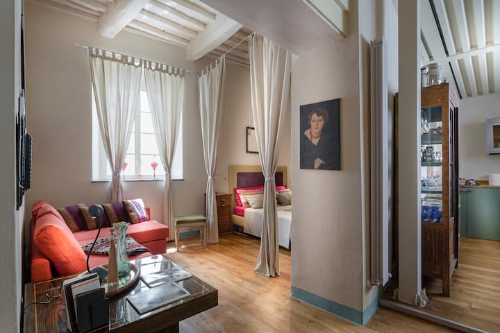 Lucy's Apartment In Lucca Centro With Courtyard - Lucca