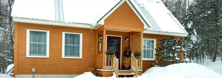 Adirondack Owl's Nest Guest House - Adirondack, NY