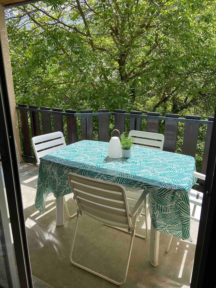 Appartement Saint-lary Village - Pic du Midi